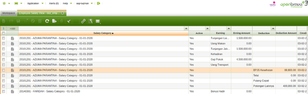 Employee Salary View - InfiniteERP Wiki